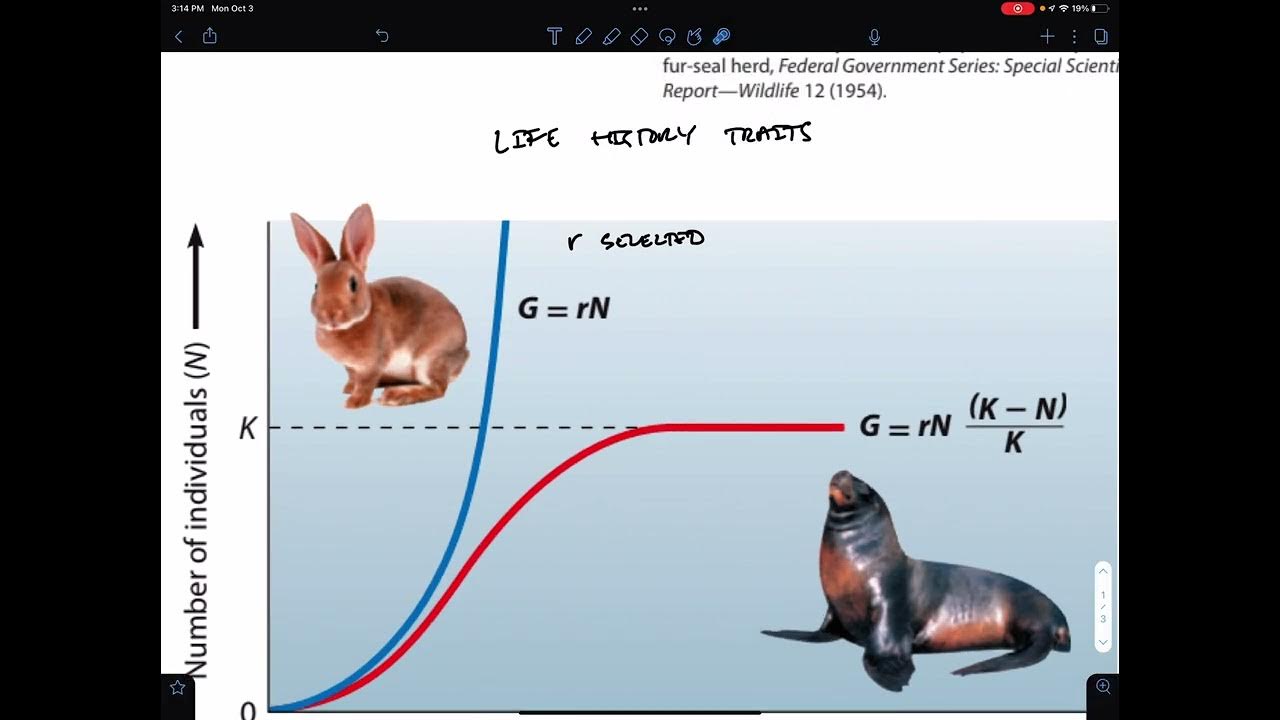 Intro to Population Growth Models - YouTube