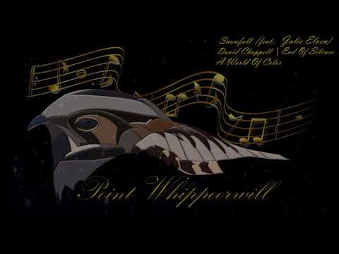 Julie Elven (Vocals) - David Chappell - Snowfall | A World of Color