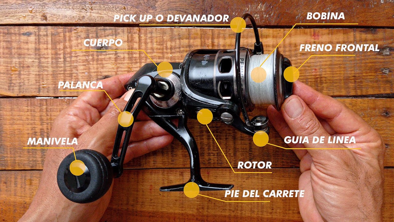 Carrete de pesca spinning mantenimiento - YouTube