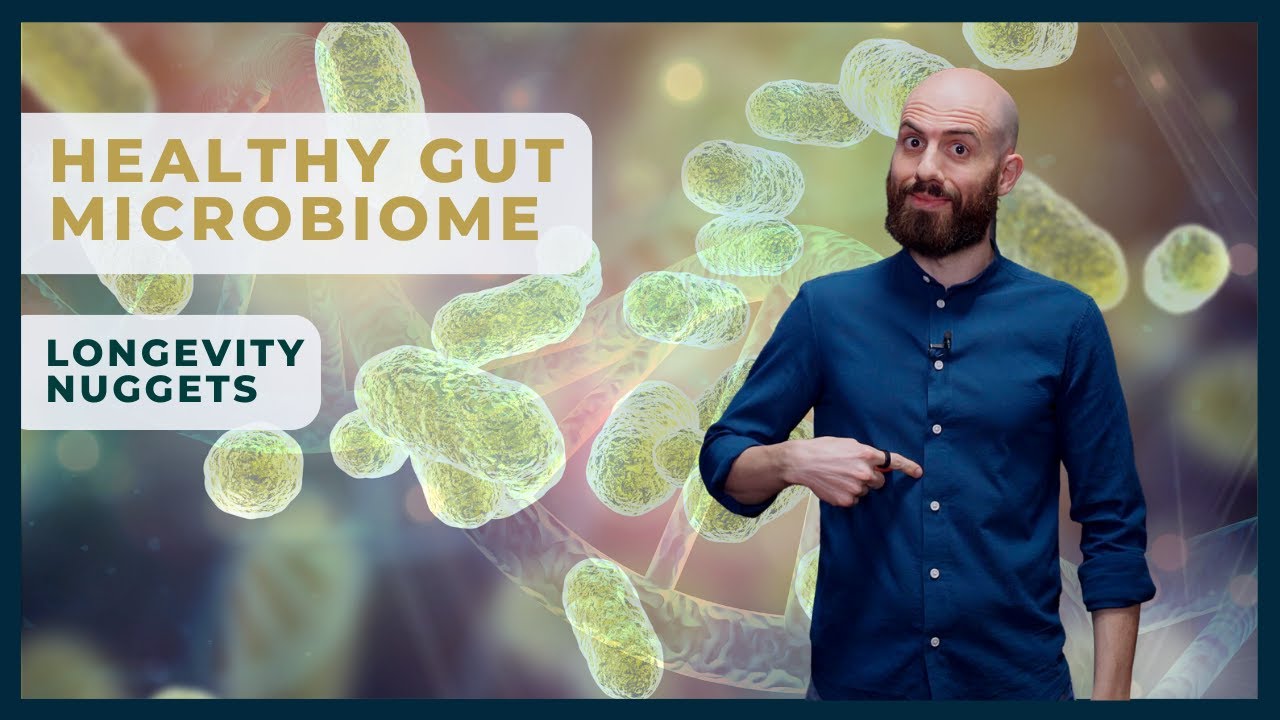 Best Foods for a Healthy Gut Microbiome | Longevity Nuggets - YouTube