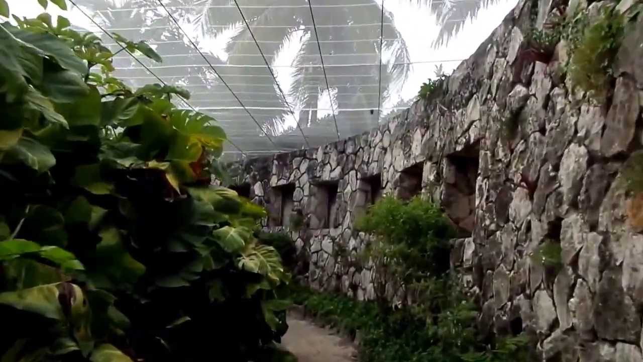 Xcaret Eco Park Butterfly Tent