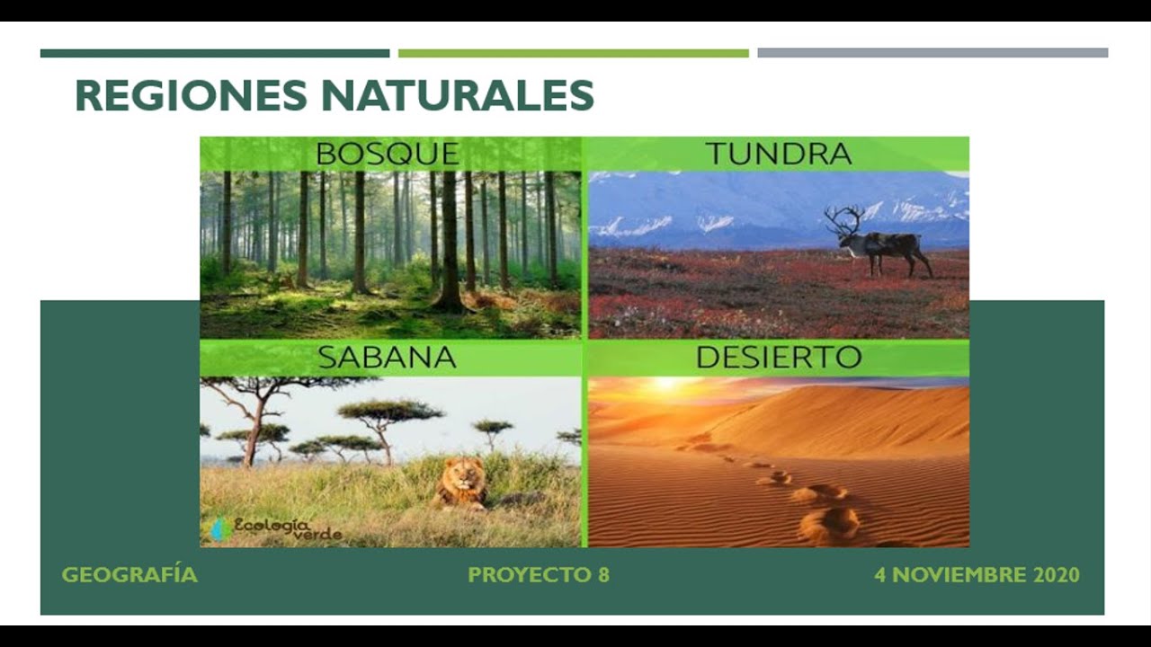 PROYECTO 8 GEOGRAFÍA: REGIONES NATURALES - YouTube