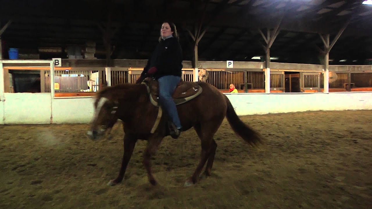 Milestone Equestrian Centre Promotional Video - YouTube