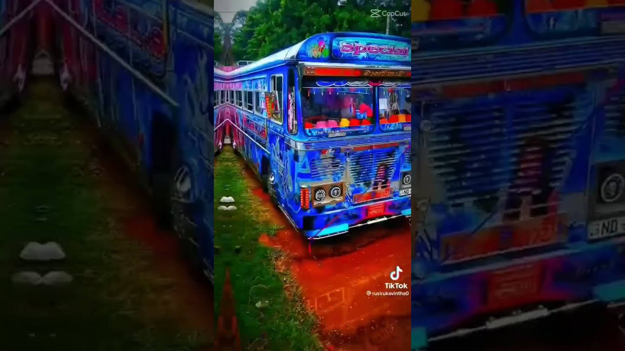 Bus Tik Tok බස් Kolla Youtube