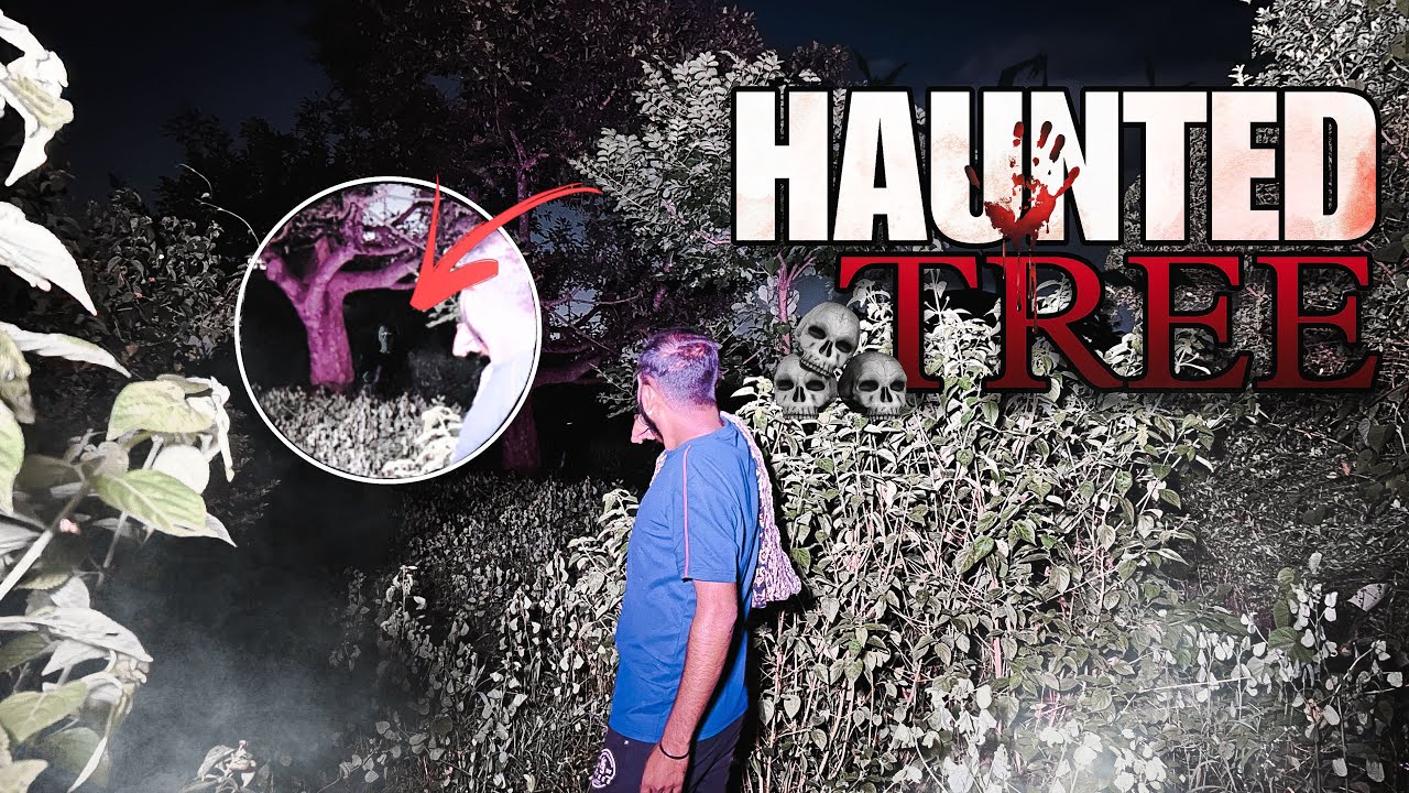 Old Haunted Tree 😱 | Real Story | Real Horror Story | Visited Haunted ...