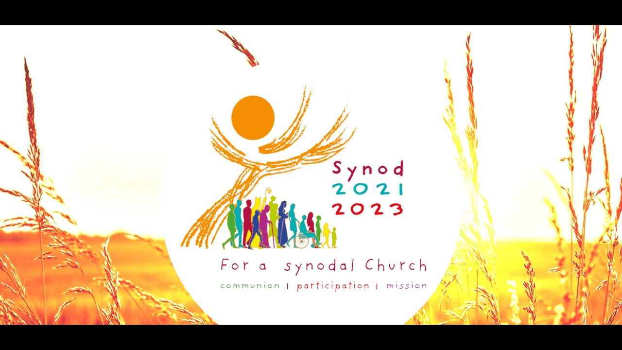 The Synodal Path - YouTube