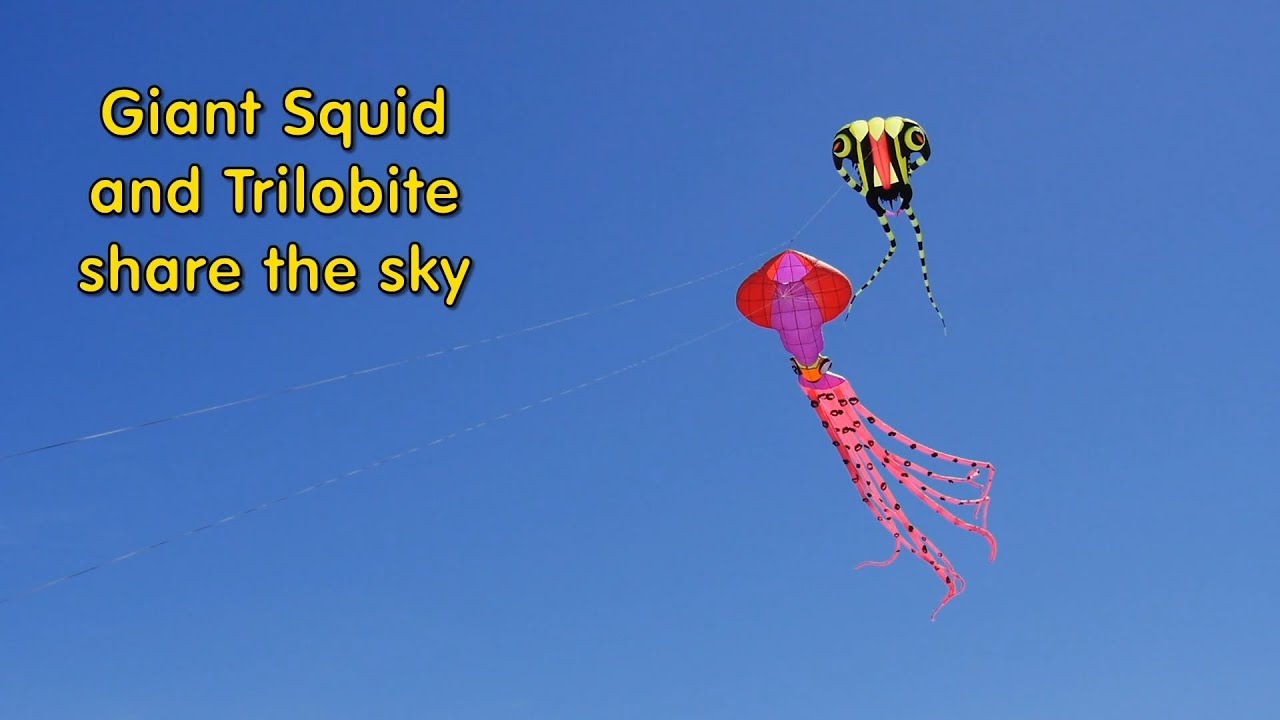 Giant Squid & Trilobite kites share the sky - YouTube