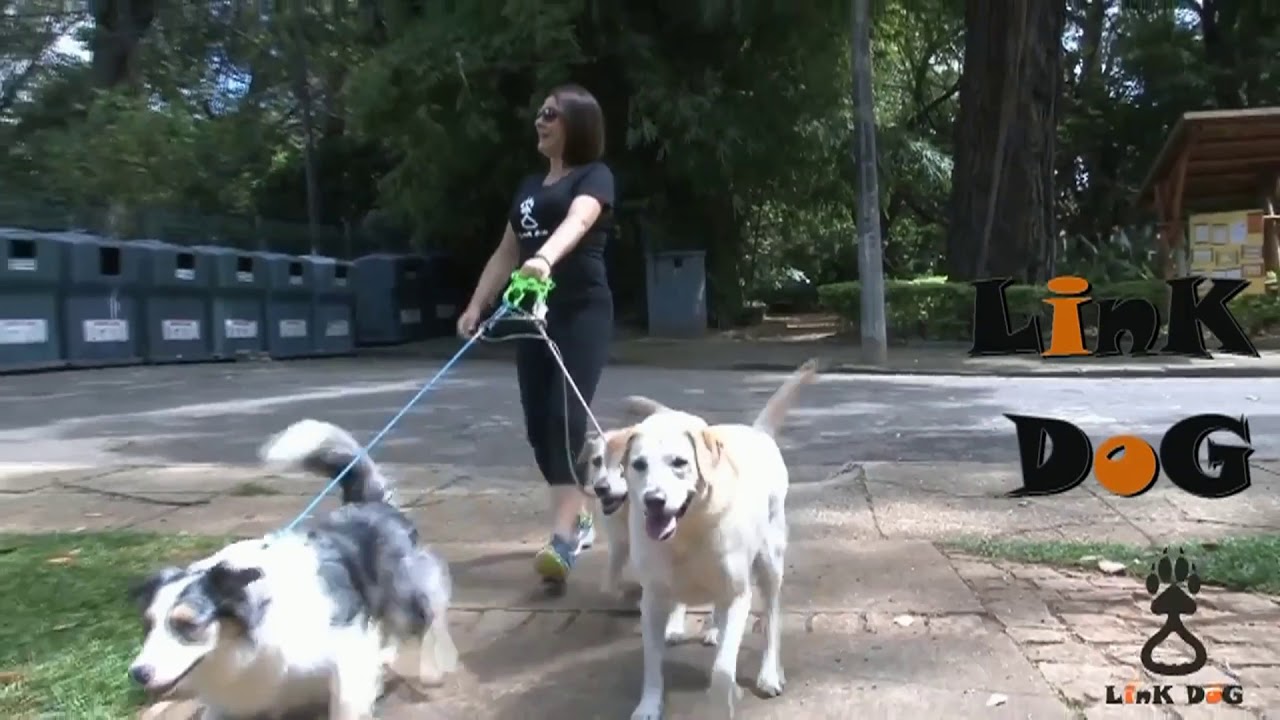 LINK DOG 40 - YouTube