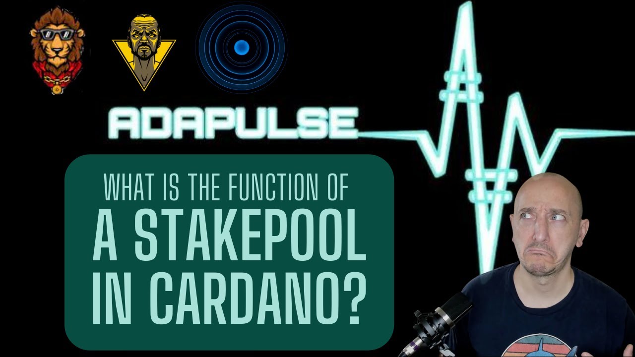 Learn the function of a StakePool in Cardano: How it works & why it's ...