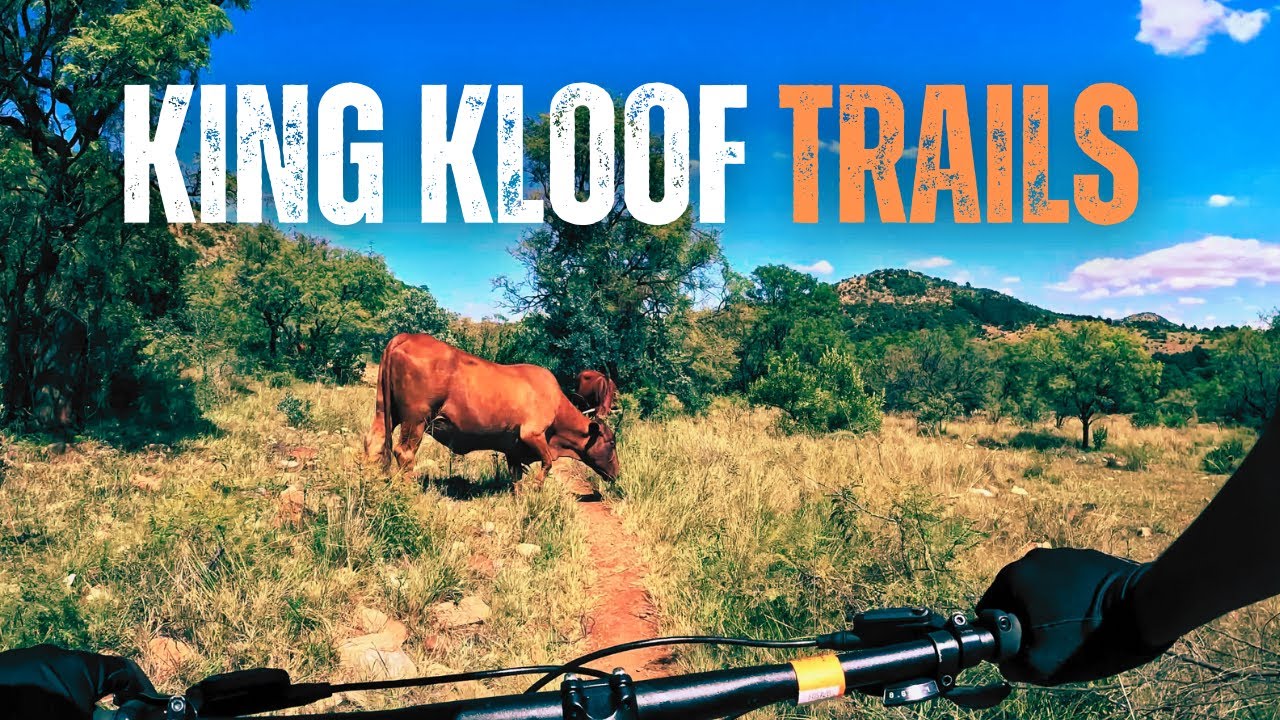 Dodging COWS at Kings Kloof Trails | 18km of Raw MTB Riding - YouTube