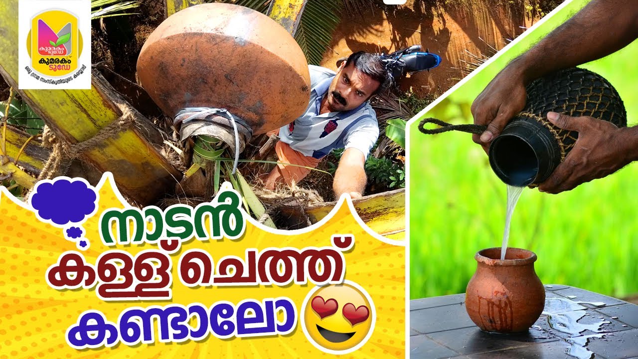 നാടന്‍ കള്ള്‌ ചെത്ത്‌ കാണാം |Natural Coconut Toddy Tapping .. - YouTube