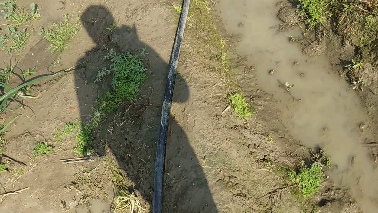 Drainage of excess water from field after rainfall - YouTube