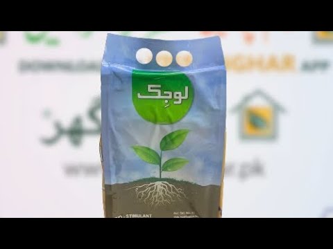 Logic 2kg by Rudolf Life Science!Bio stimulant Complex blend of Amino ...