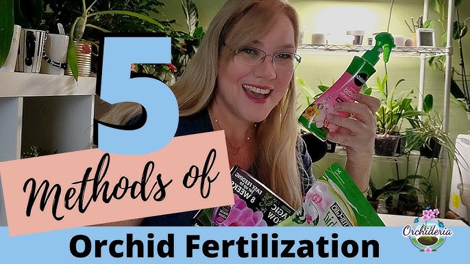 Fertilization in Plants | Definition, Process & Types - Lesson Fertilization in Plants | Definition, Process & Types - Lesson