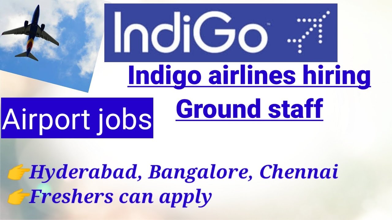 Indigo airlines| Indigo airlines recruitment| Airport jobs| Indigo ...