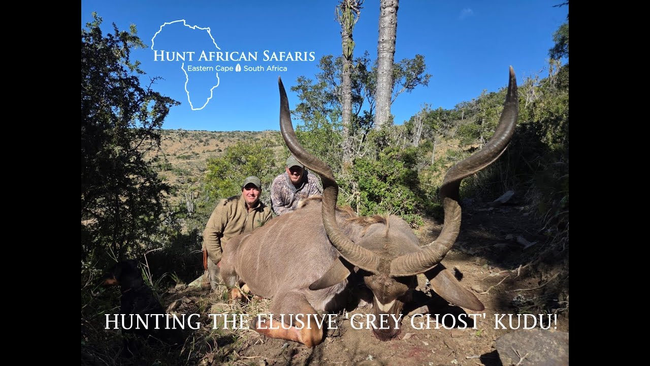 Hunting the 'Grey Ghost' Kudu, Eastern Cape of South Africa - Hunt ...