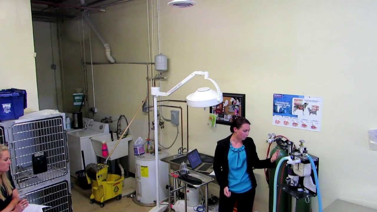 Veterinary Anesthetic Machines: Installation and Maintanence - YouTube