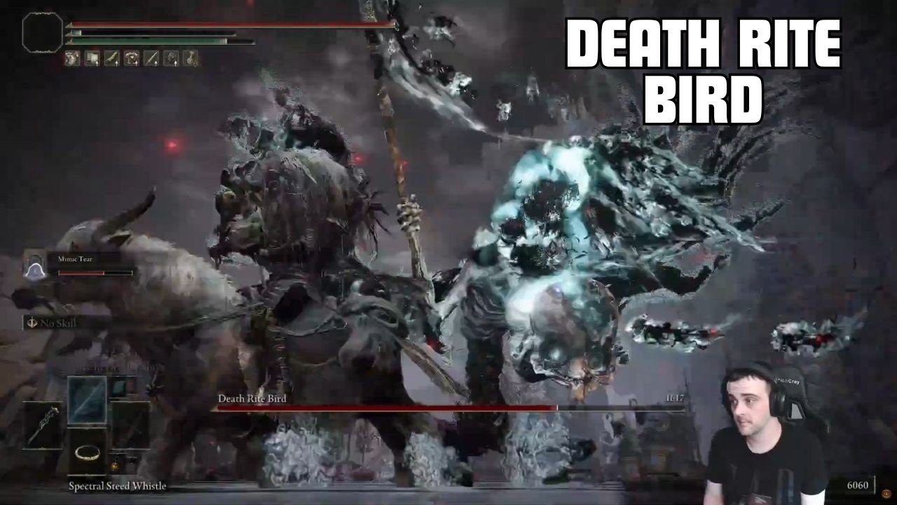 Death Rite Bird Takedown (Elden Ring DLC) - YouTube