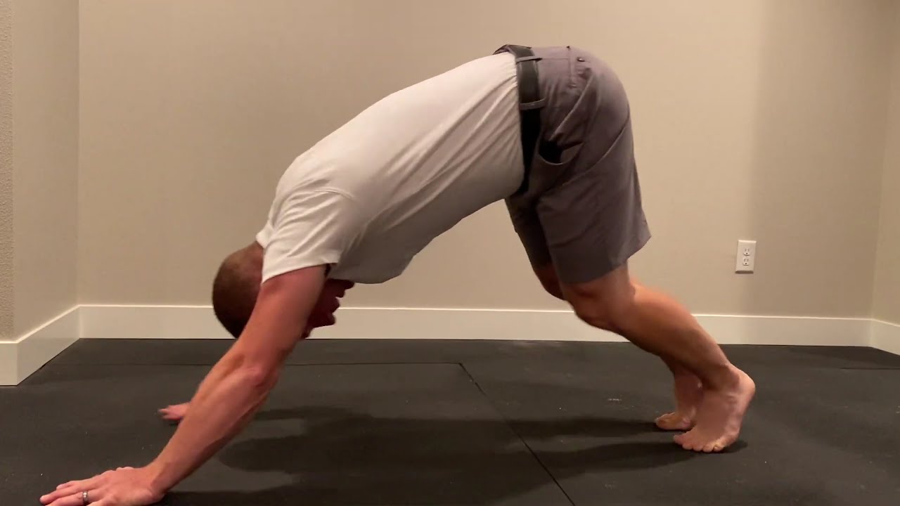 Bear Walk/Crawl - YouTube