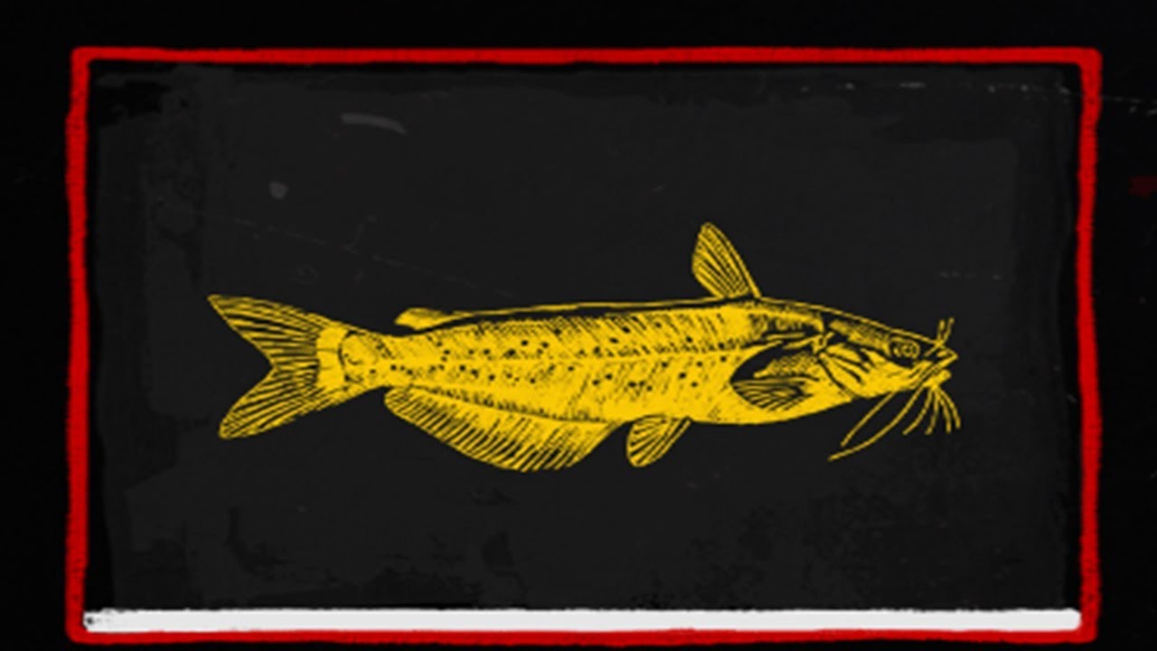 I'VE CAUGHT THE LEGENDARY CHANNEL CATFISH (sort of) IN RDR2! - YouTube