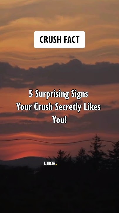 5 Surprising Signs Your Crush Secretly Likes You! Crush Facts #shorts #psychologyfacts - YouTube