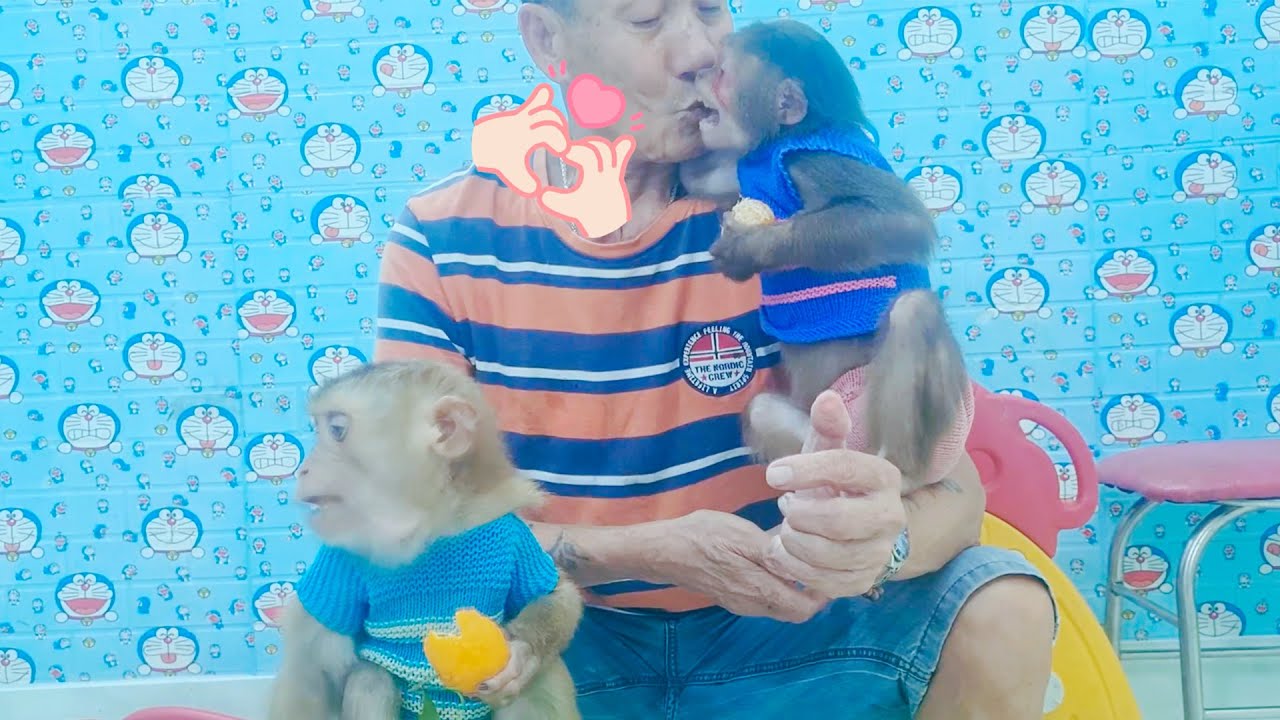 Grandpa came back earlier with Monkey Sam & Asher - YouTube