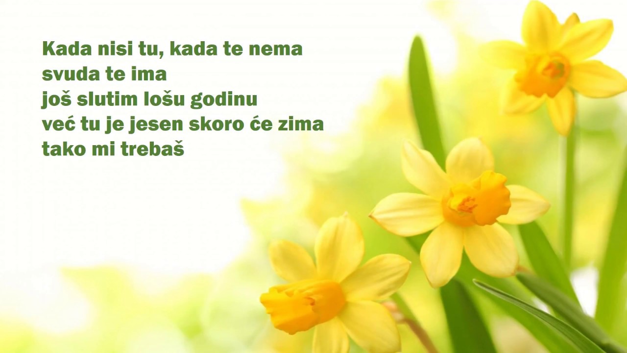 Begini - DA SI TU (tekst, lyrics) - YouTube
