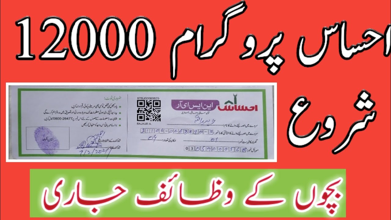 Ehsas 12000 Registration NSER Results || Ehsas Kafalat Card 12000 Start ...