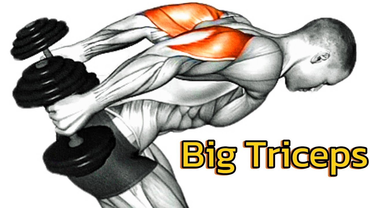 Best Triceps Workout At Gym - Best Big Triceps Exercises Fast Results 🔥 ...