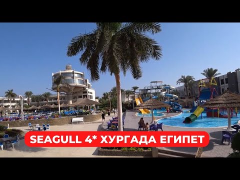 Лучший отель 4* в Хургаде по соотношению цена/качество Seagull beach resort