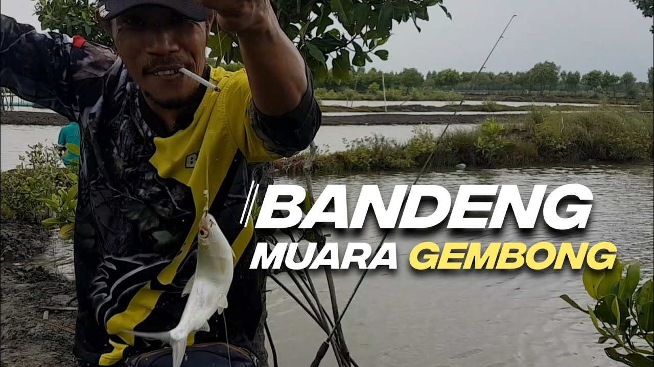 Mancing Bandeng Di Muara Gembong || Dapet Ikan Sampe Satu Karung - YouTube