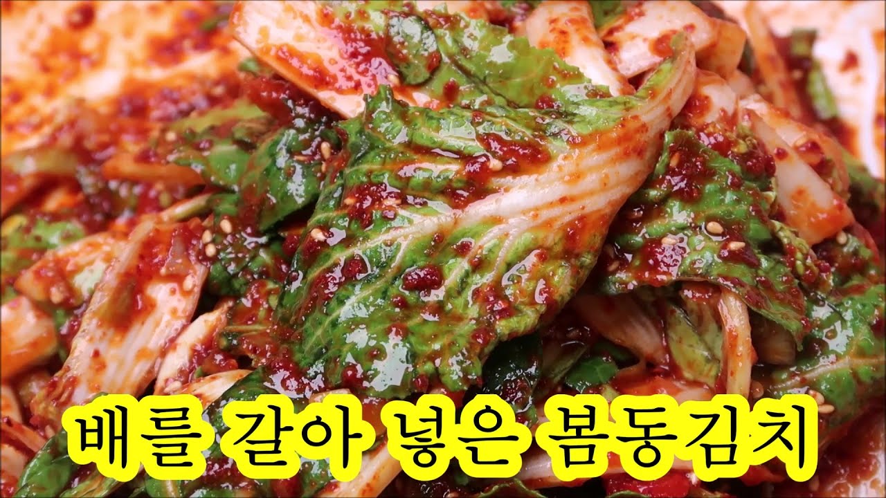 배를 갈아 넣은 봄동 김치/ Bomdong kimchi with pears - YouTube
