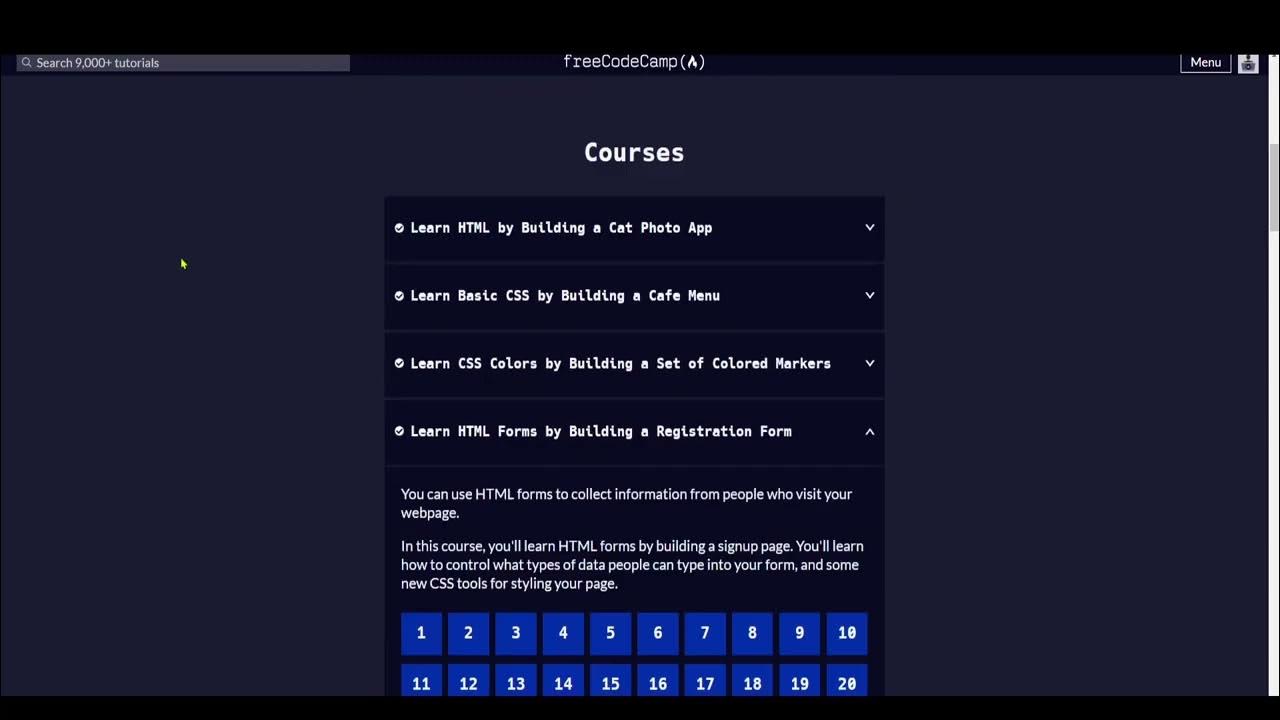 Freecodecamp Learn Css Flexbox By Building A Photo Gallery Youtube