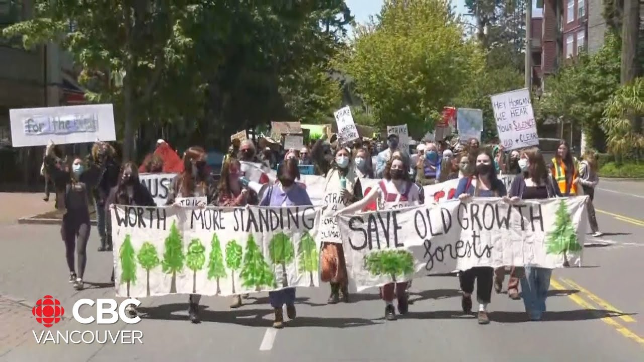 Protesters rally across B.C. to bring attention to logging of old ...
