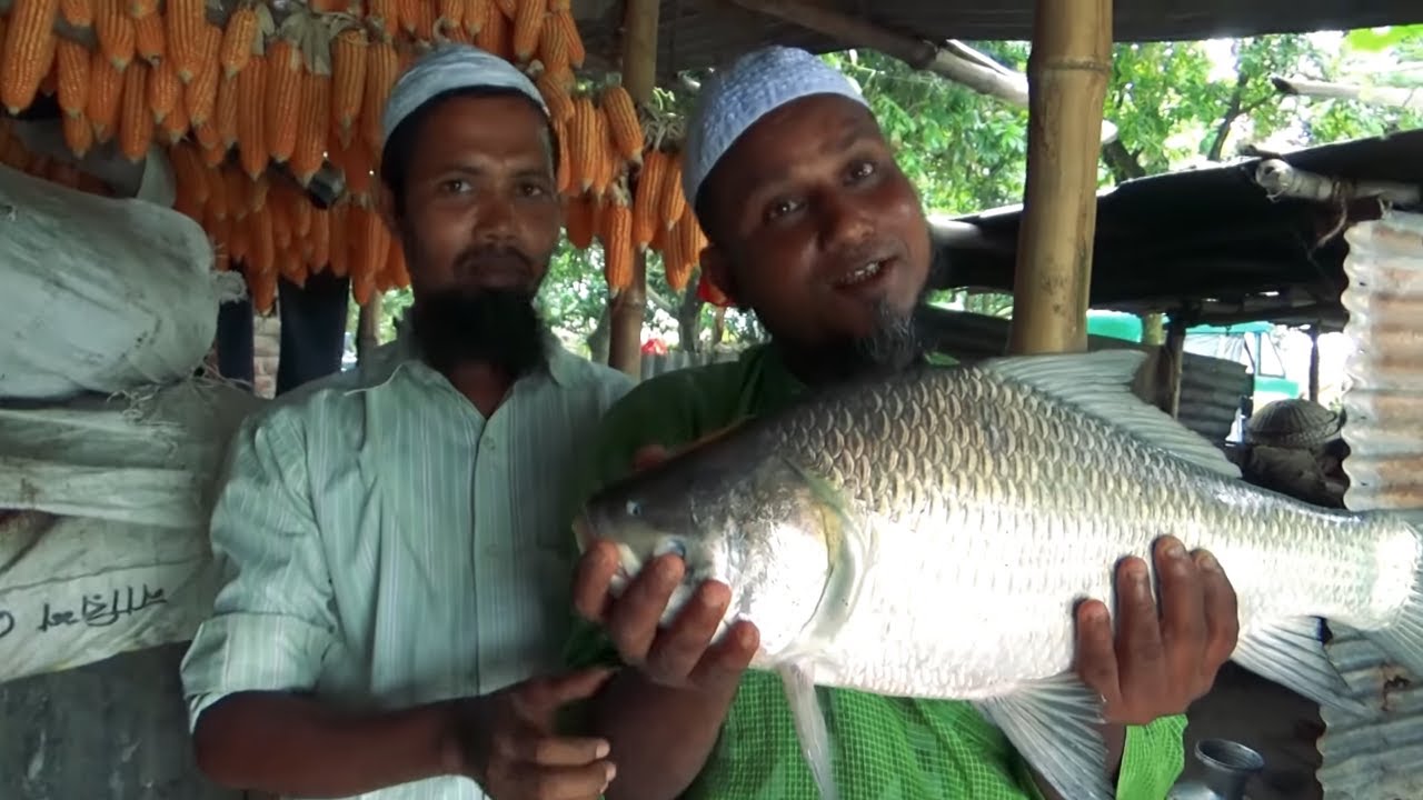 Catla Fishing Videos By Fish Watching - YouTube