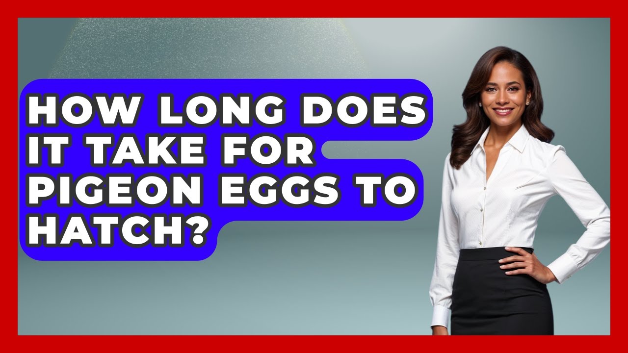 How Long Does It Take For Pigeon Eggs To Hatch? - Bird Watching Diaries ...