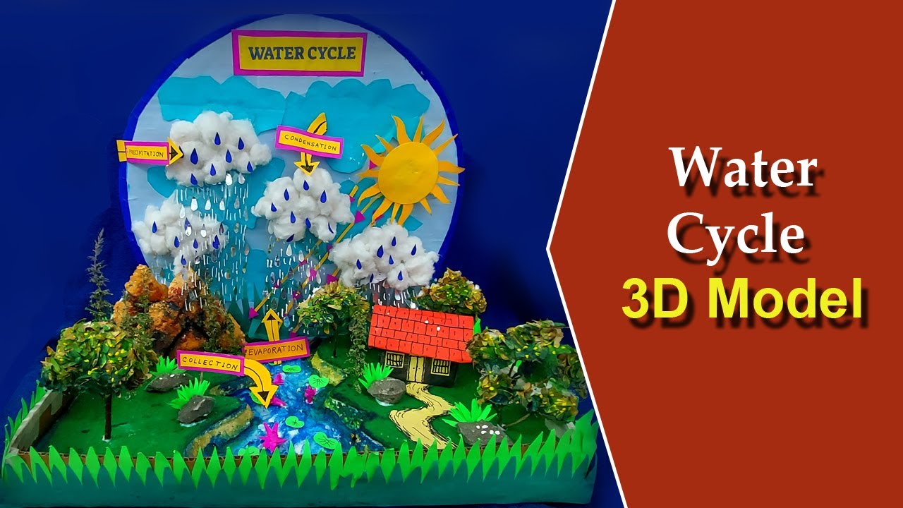 How to make 3D Water Cycle | Water Cycle for school Science project ...