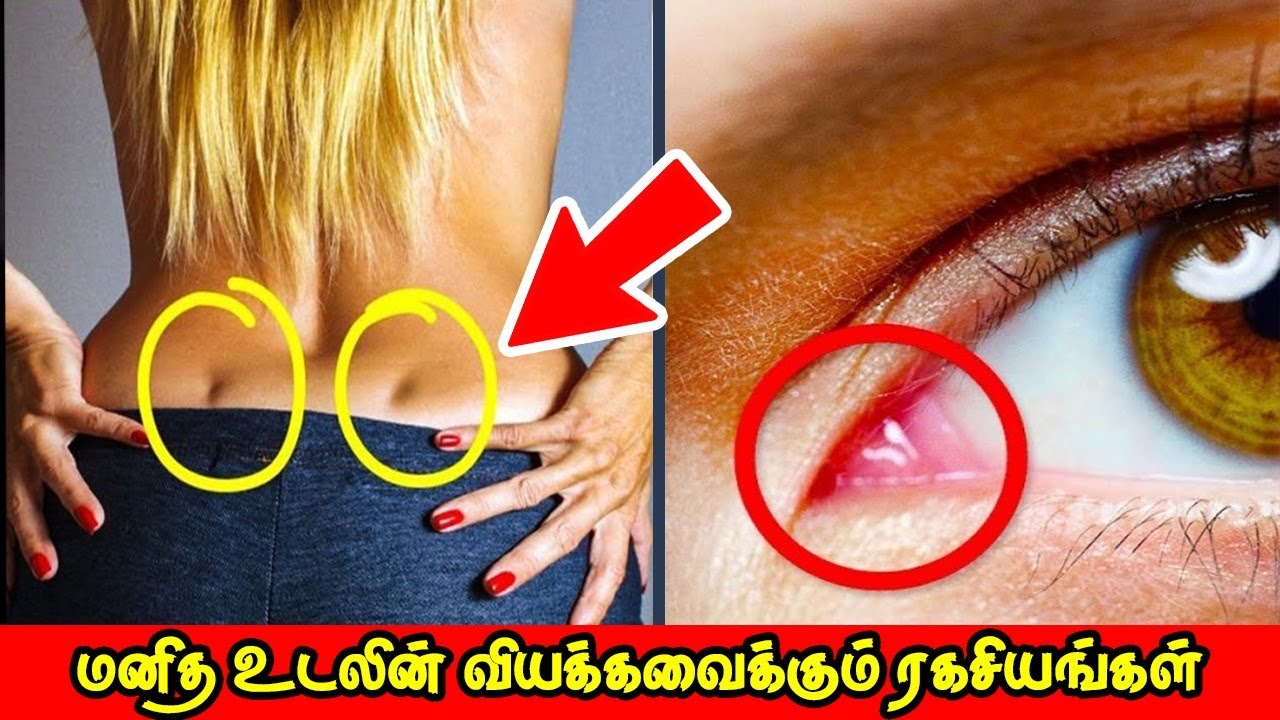 Amazing Facts About Human Body In Tamil amazing-facts-about-human-body-in-tamil