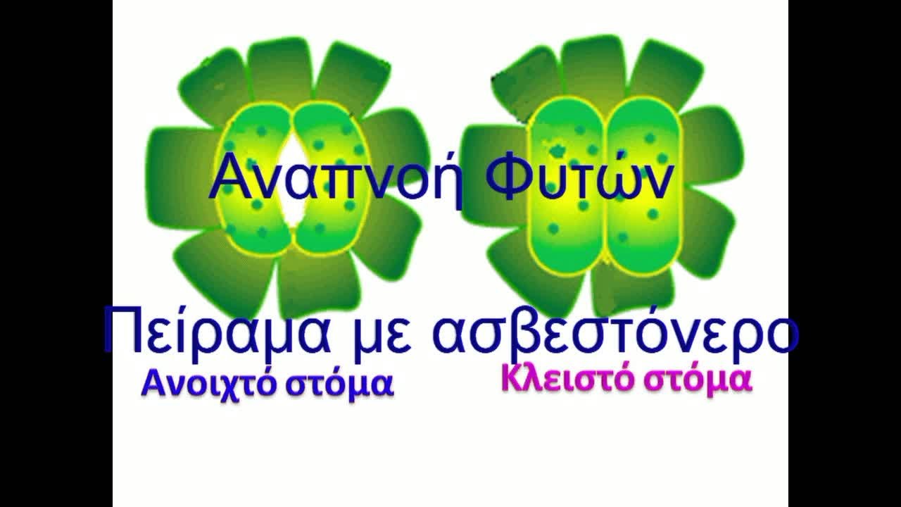 ΑΝΑΠΝΟΗ ΦΥΤΩΝ - ΑΣΒΕΣΤΟΝΕΡΟ - YouTube