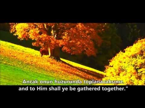 67- Mülk Sûresi/The Kingdom  (Ahmet el Acemi) HD