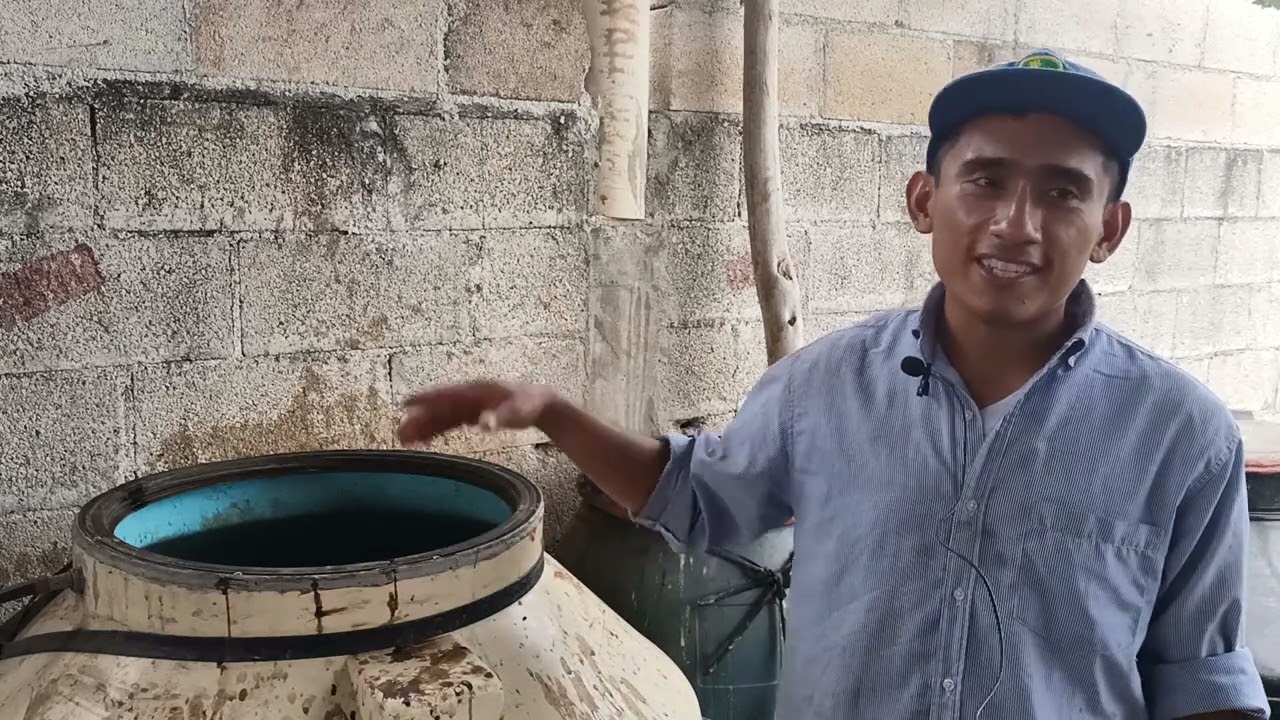 Super magro fertilizante elaborado en Dzan - YouTube