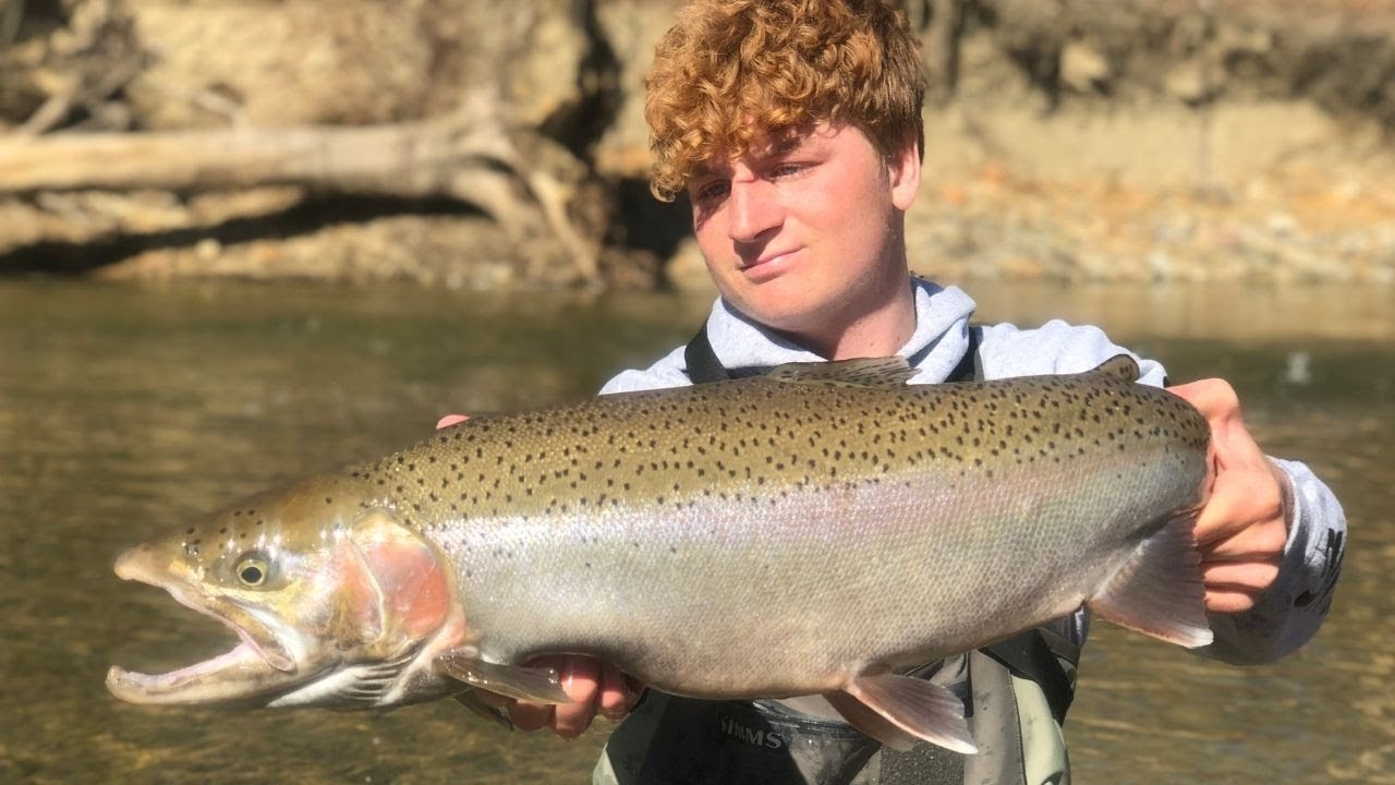 CENTERPIN FISHING STEELHEAD ALLEY PT2 - YouTube