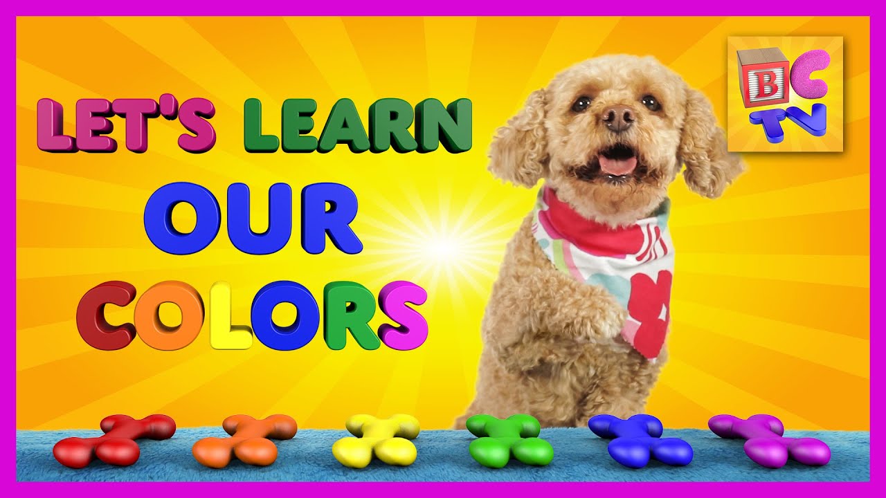 Learn Colors With Lizzy the Dog | Educational Video for Kids by Brain ...