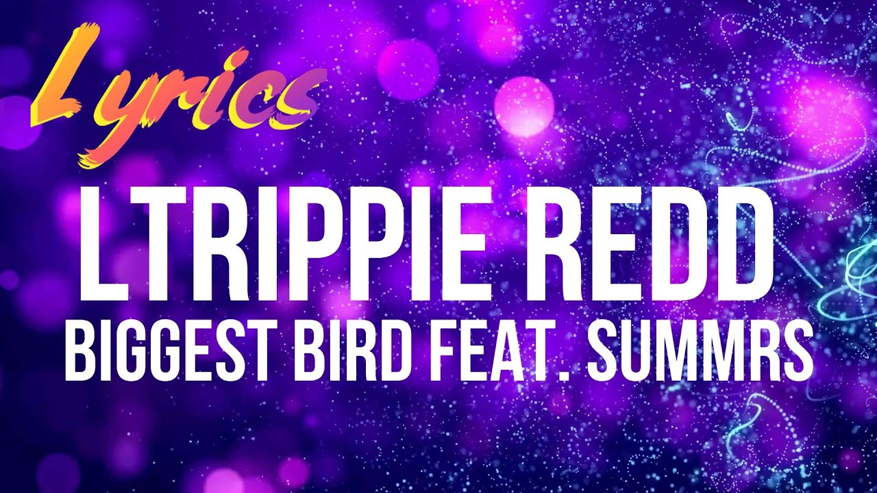 Lyrics Trippie Redd Biggest Bird Feat Summrs Official Music Video Youtube
