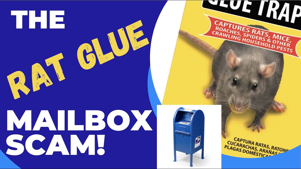 beware of the RAT GLUE scam!!! They almost got me!! PSA 2023 - YouTube