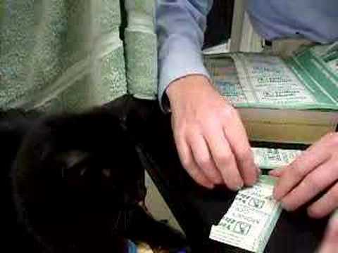 Make a Tumblewing Walkalong Glider from Phone Book Paper - YouTube