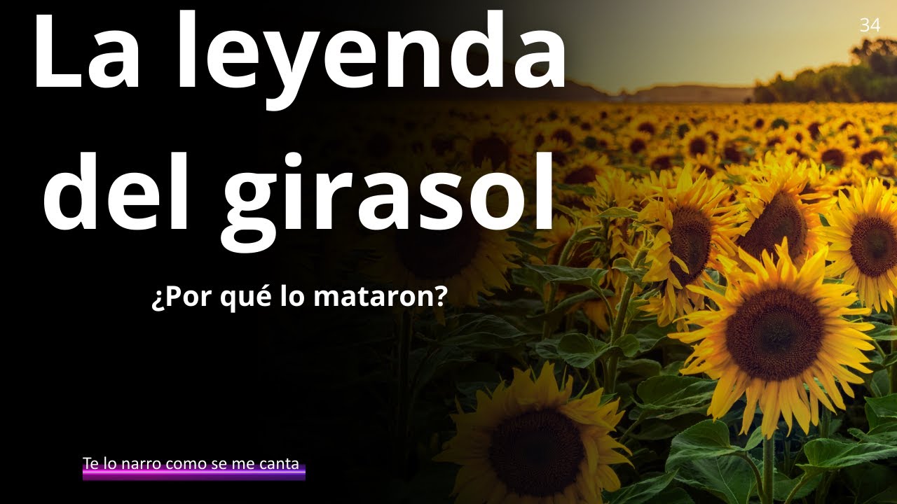 ¿Por qué lo mataron?/ la leyenda del girasol narrada como se me canta - YouTube