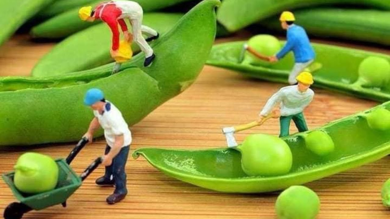 Amazing Creation For New Design - YouTube