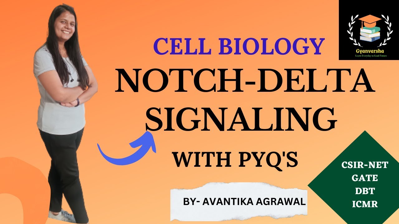 NOTCH-DELTA SIGNALING PATHWAY || CELL SIGNALING || CSIR NET || GATE ...