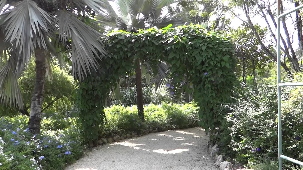 Grand Cayman - Queen Elizabeth II Botanic Park HD (2012) - YouTube